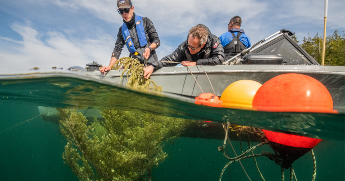 Don't overharvest | Ocean School
