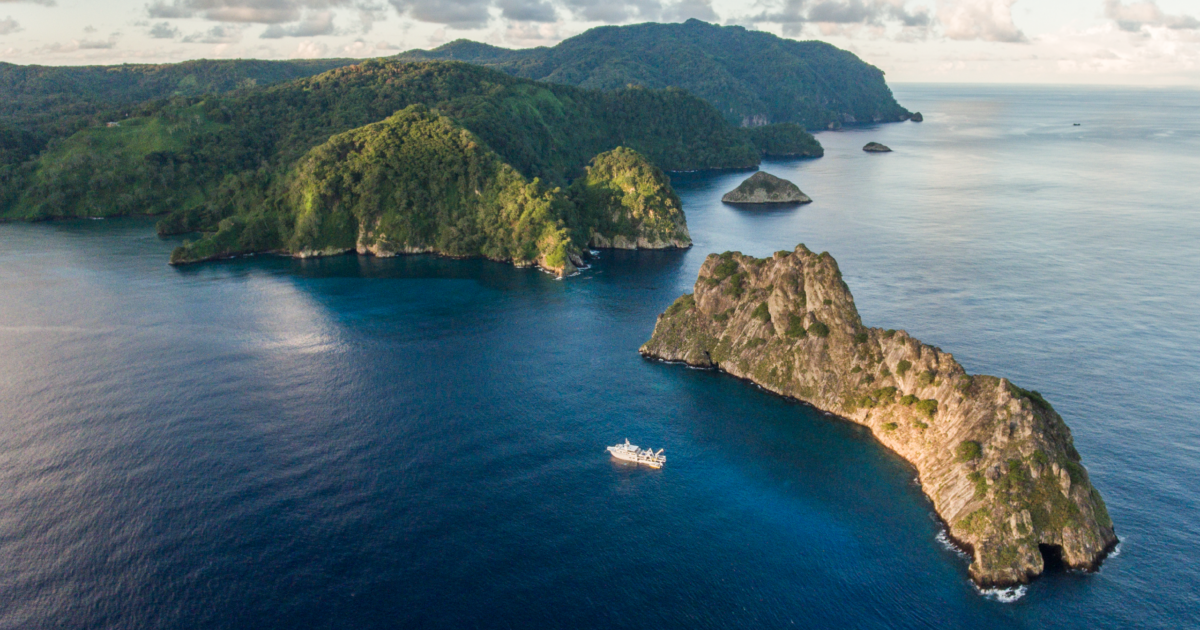 Marine migration | Ocean School