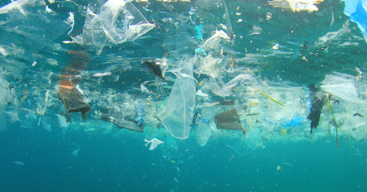 Plastic interactives | Ocean School