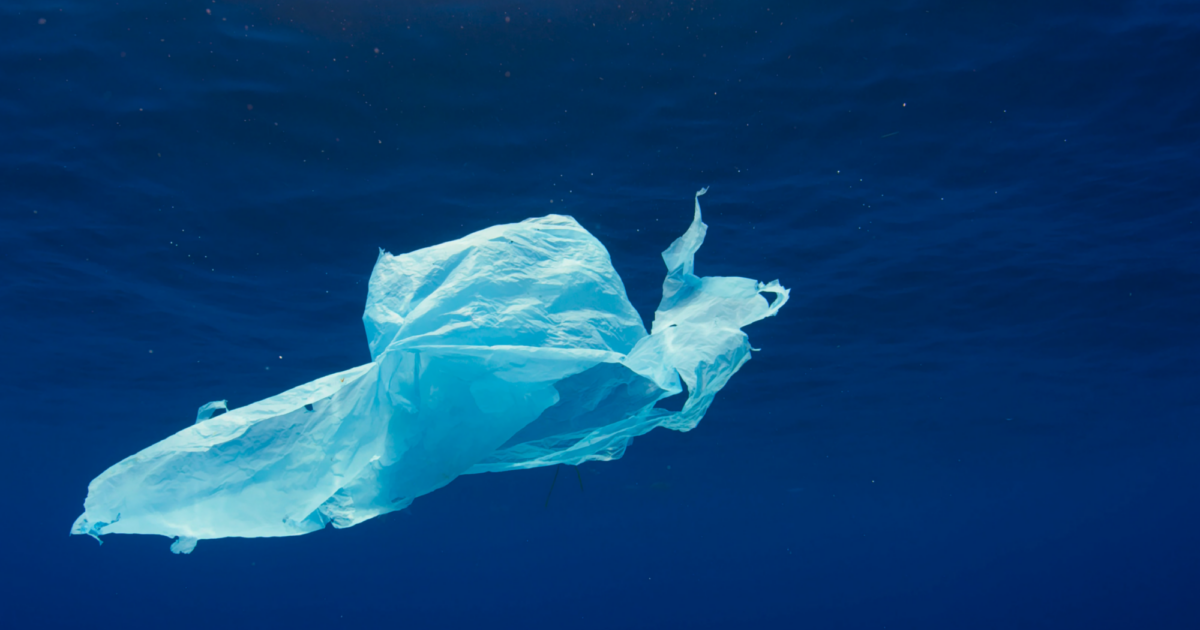 Le plastique hier et aujourd'hui | École de l'Océan