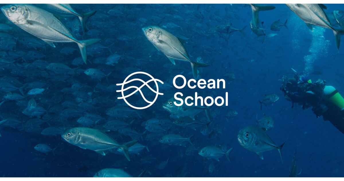 Experience the new Giant Floor Map and AR App! | Ocean School