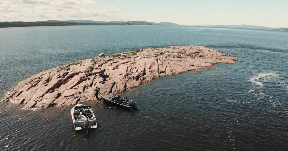 A Birds-eye View | Ocean School