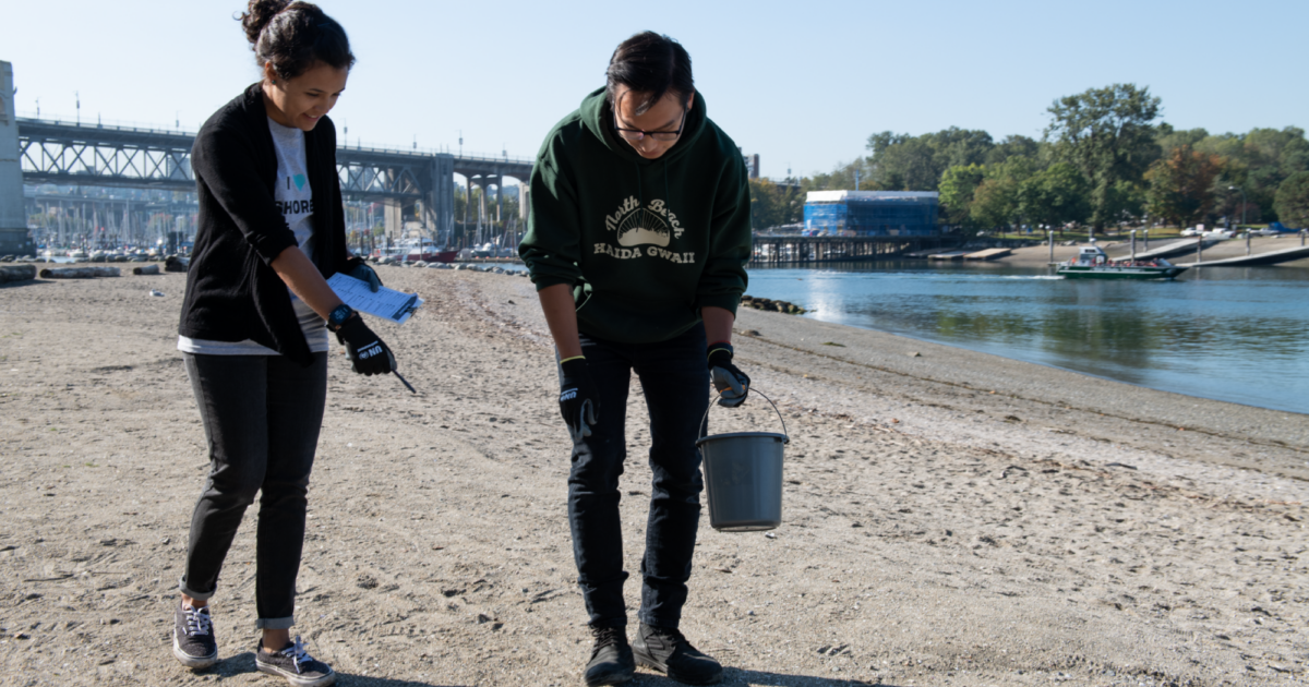 Shoreline cleanup | Ocean School