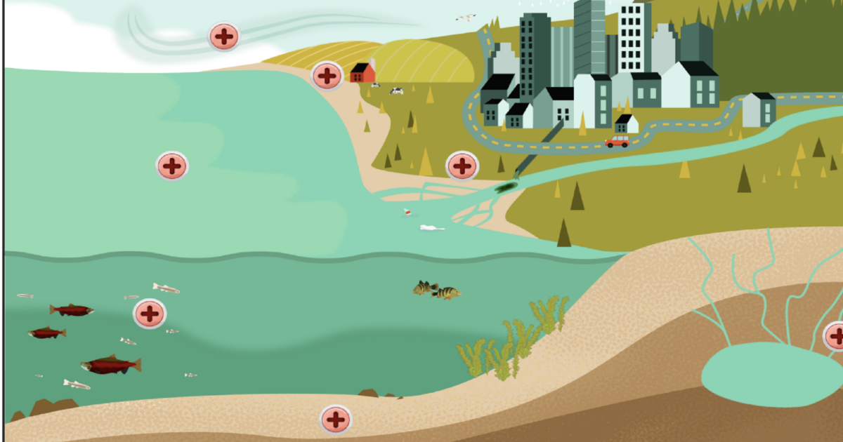 The plastic cycle | Ocean School