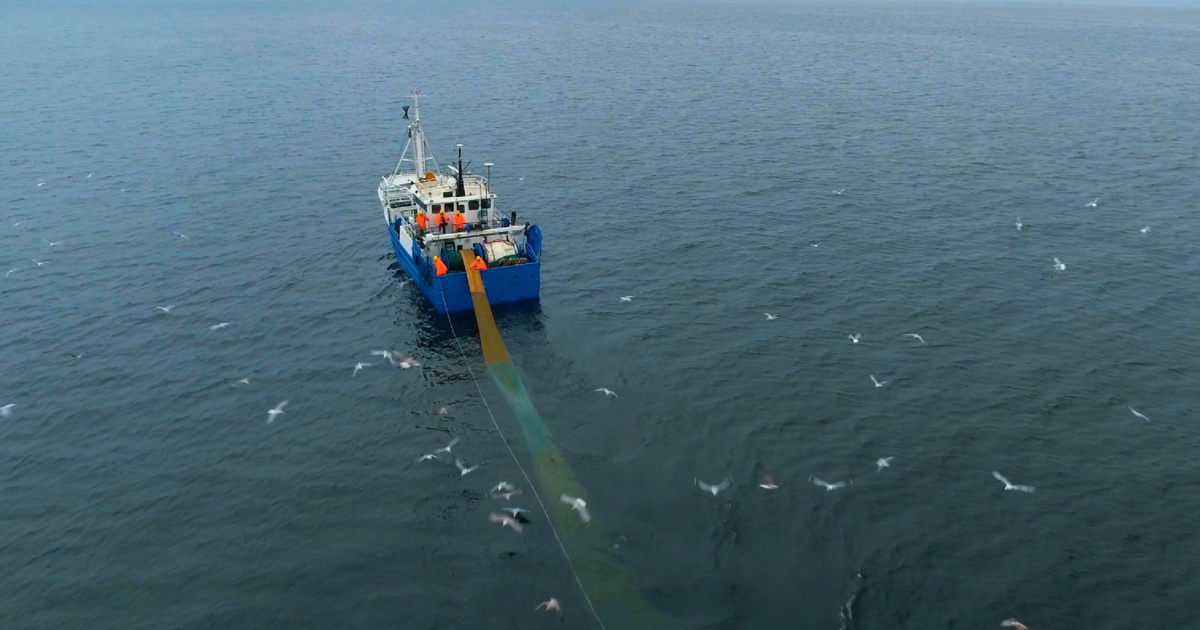 Trawling for data | Ocean School