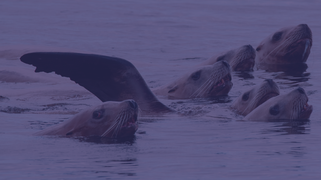 École de l'Océan - Moments de pleine conscience